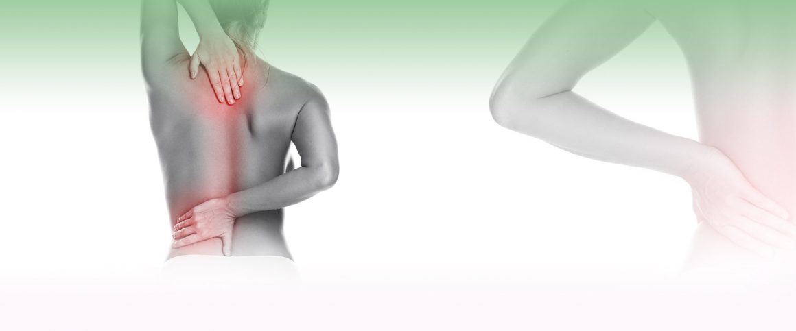 Gesunder Rücken – www.womensworkout.de